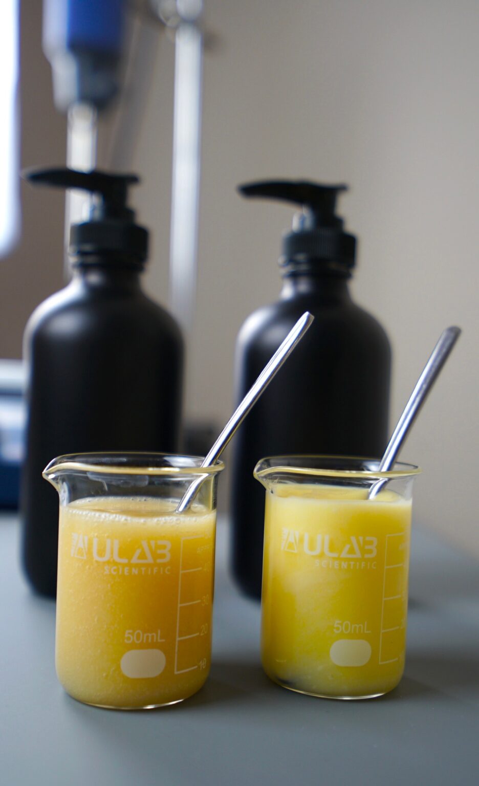 Natural hair care formulation course.